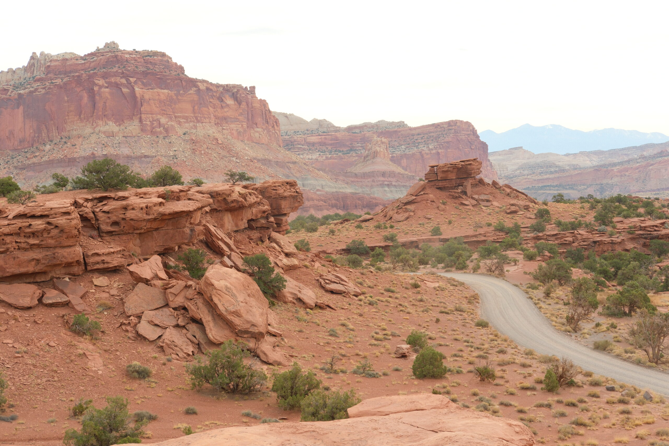 Capitol Reef: Visiting National Parks With Dogs